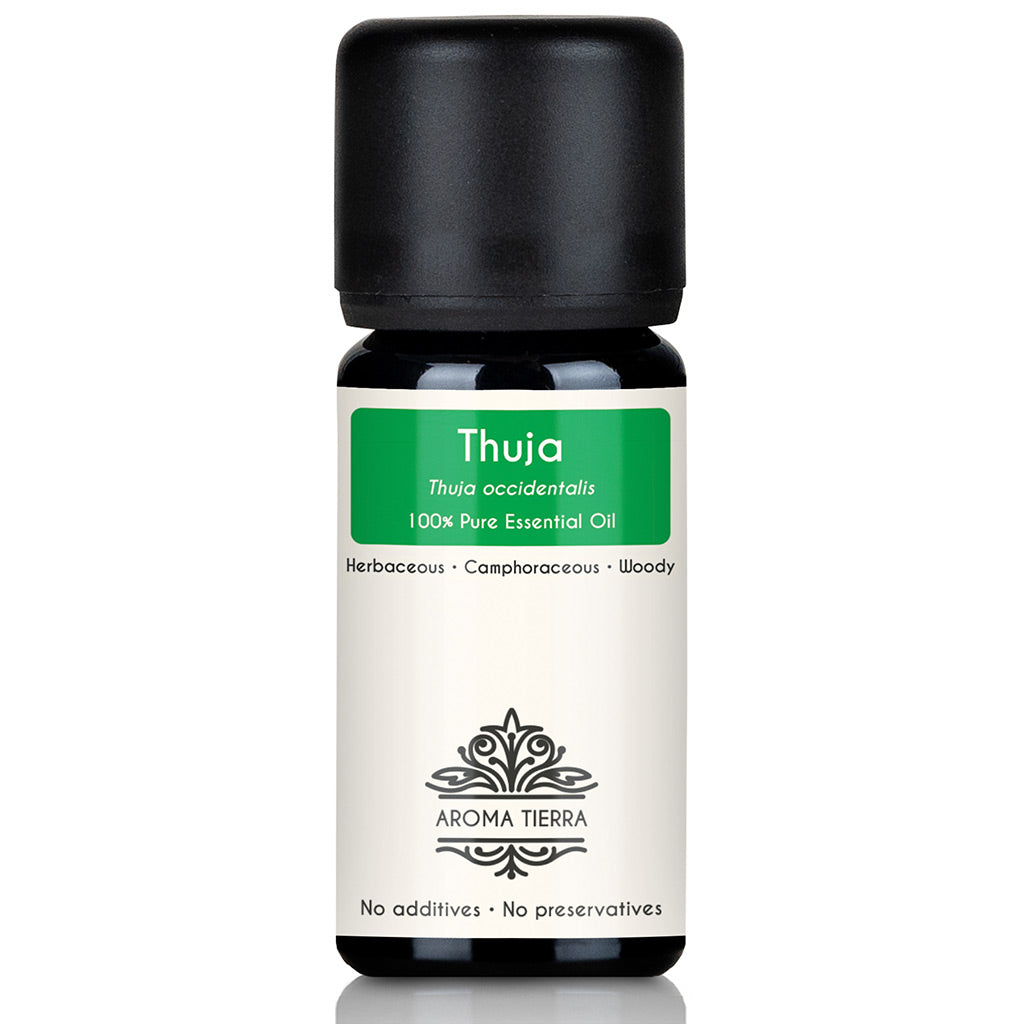 100% Pure Thuja Essential Oil (Cedar Leaf) | Aroma Tierra