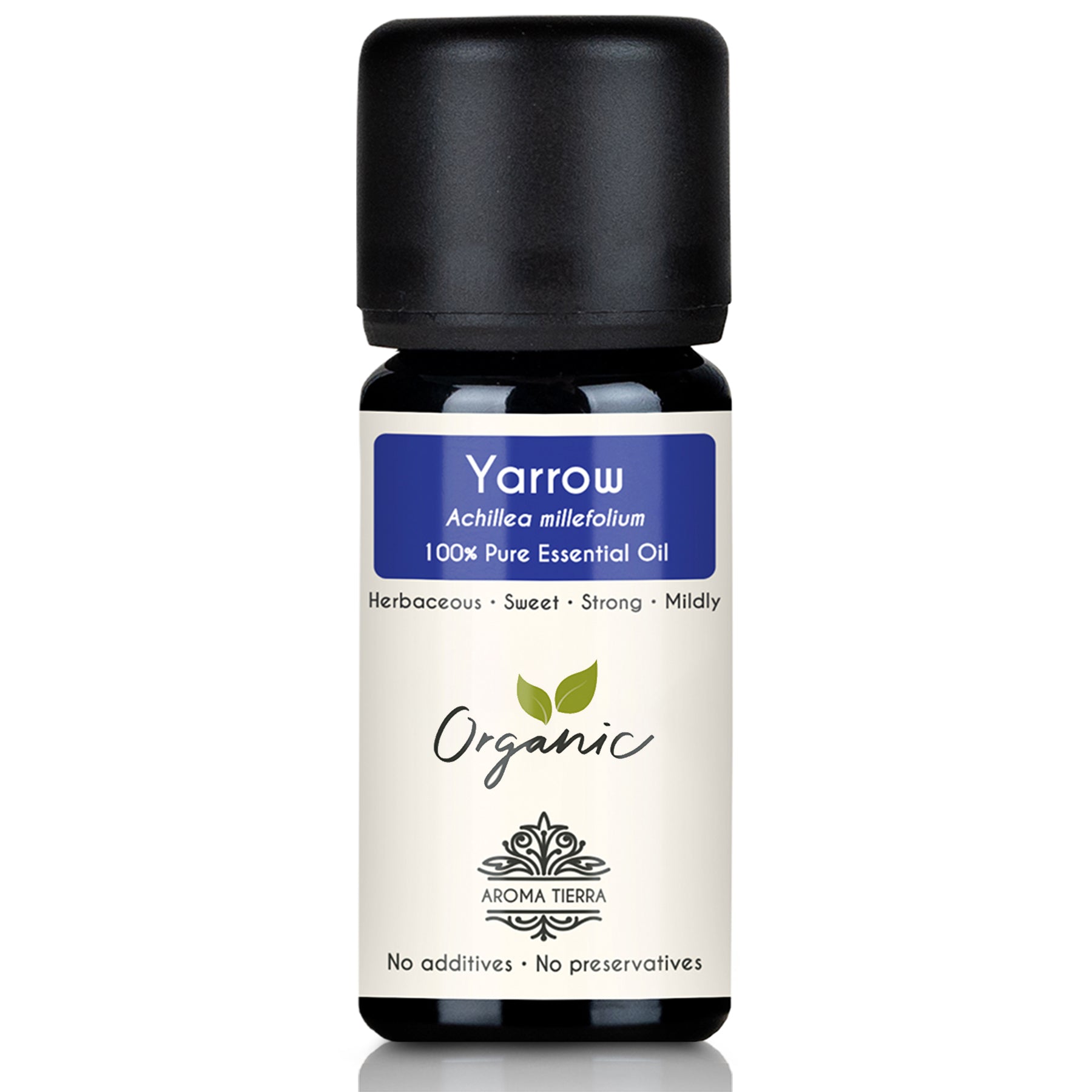 Aroma Tierra Yarrow Essential Oil - 100% Pure & Organic